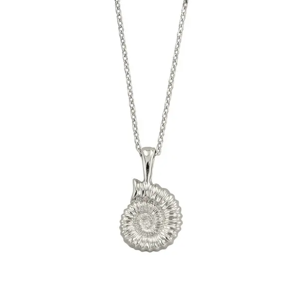 DAINTY LONDON Ammonite Fossil Pendant Necklace - Silver