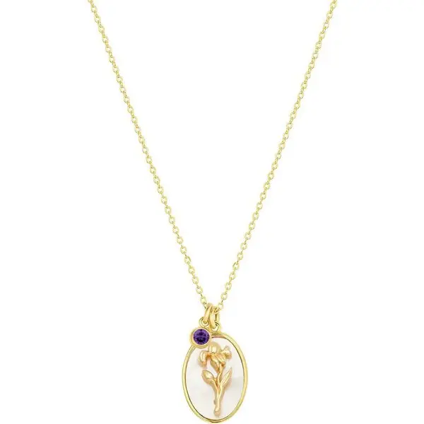 SET & STONES Katrina Birth Flower And Birthstone Charm Necklace - Gold/february