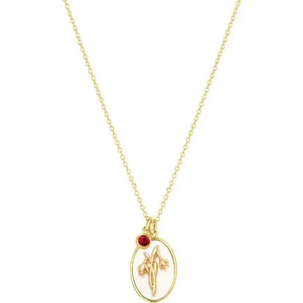 SET & STONES Katrina Birth Flower And Birthstone Charm Necklace - Gold/january