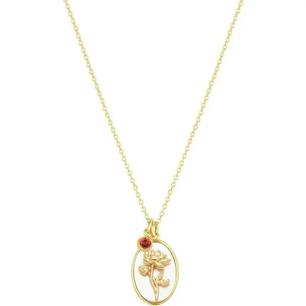 SET & STONES Katrina Birth Flower And Birthstone Charm Necklace - Gold/july