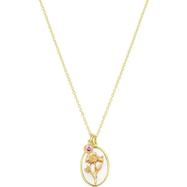 SET & STONES Katrina Birth Flower And Birthstone Charm Necklace - Gold/october