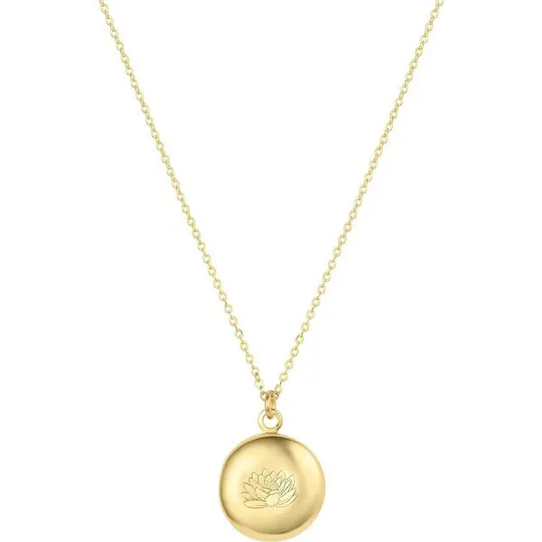 SET & STONES Ruby Birth Flower Locket Necklace - Gold/july