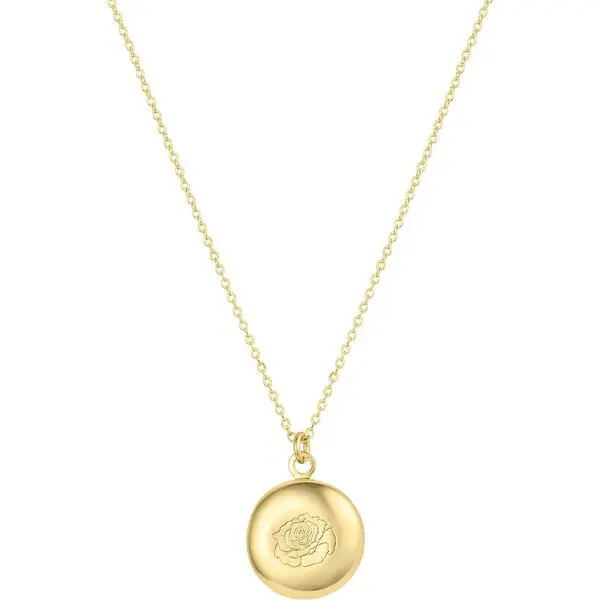 SET & STONES Ruby Birth Flower Locket Necklace - Gold/june