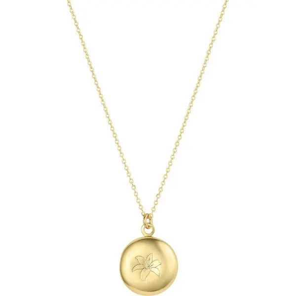 SET & STONES Ruby Birth Flower Locket Necklace - Gold/may