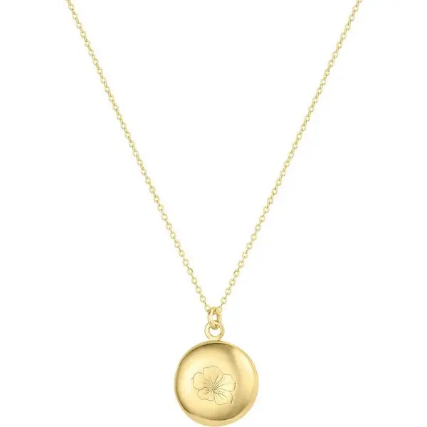SET & STONES Ruby Birth Flower Locket Necklace - Gold/september