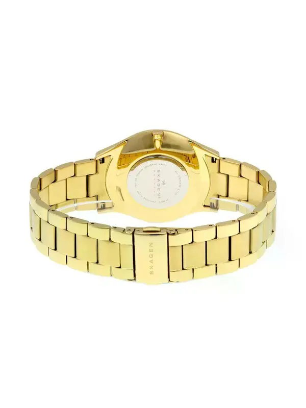 Skagen Stainless Steel Watch With Dial