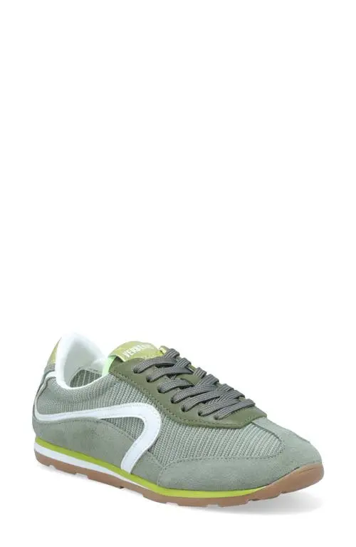 VERBENAS Jamaica Leather Sneakers - Moss