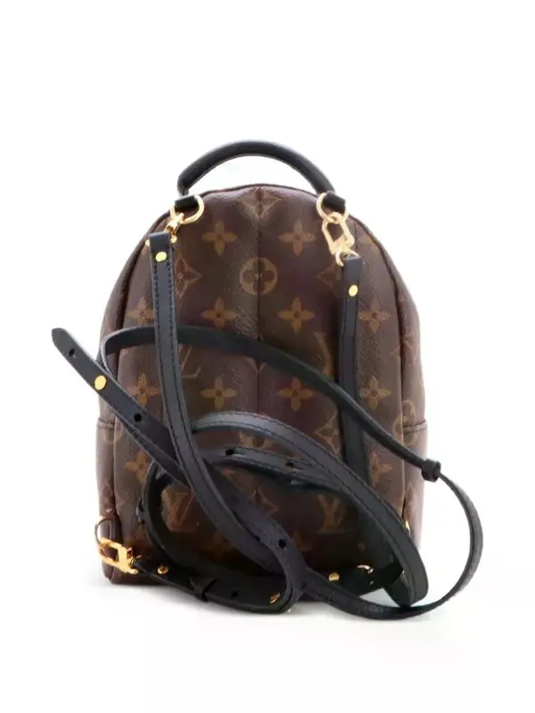 LOUIS VUITTON Palm Springs Monogram Canvas Mini Backpack - Brown