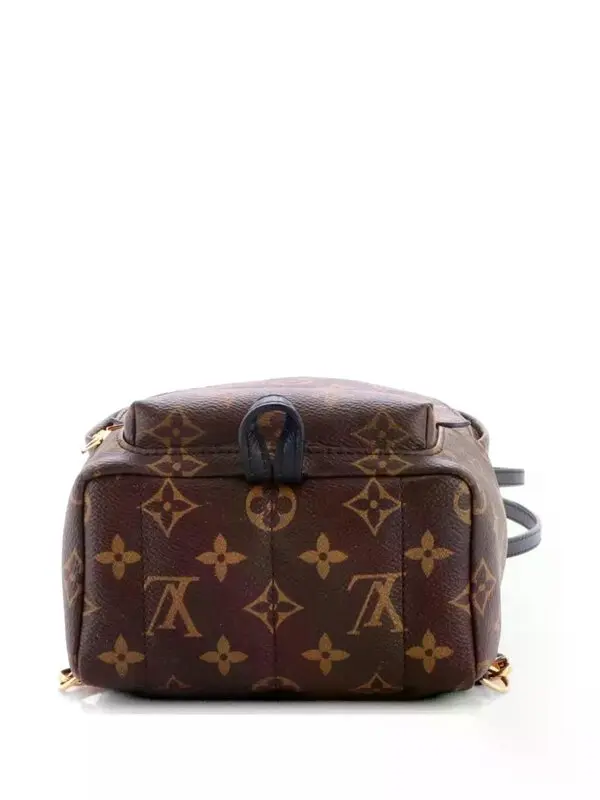 LOUIS VUITTON Palm Springs Monogram Canvas Mini Backpack - Brown