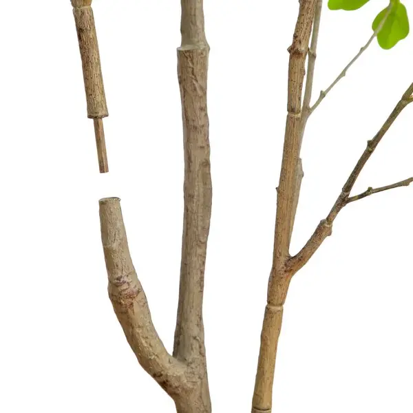 NEARLY NATURAL Artificial Dogwood Tree, 5