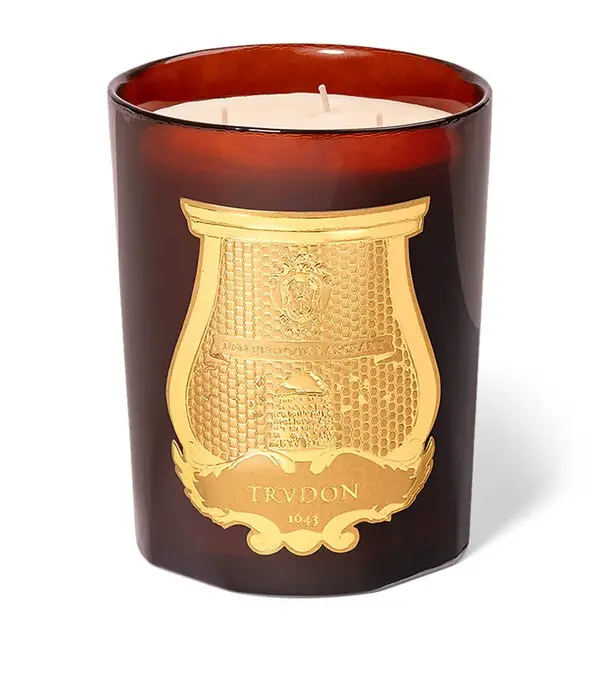 TRUDON Cire Candle - Brown