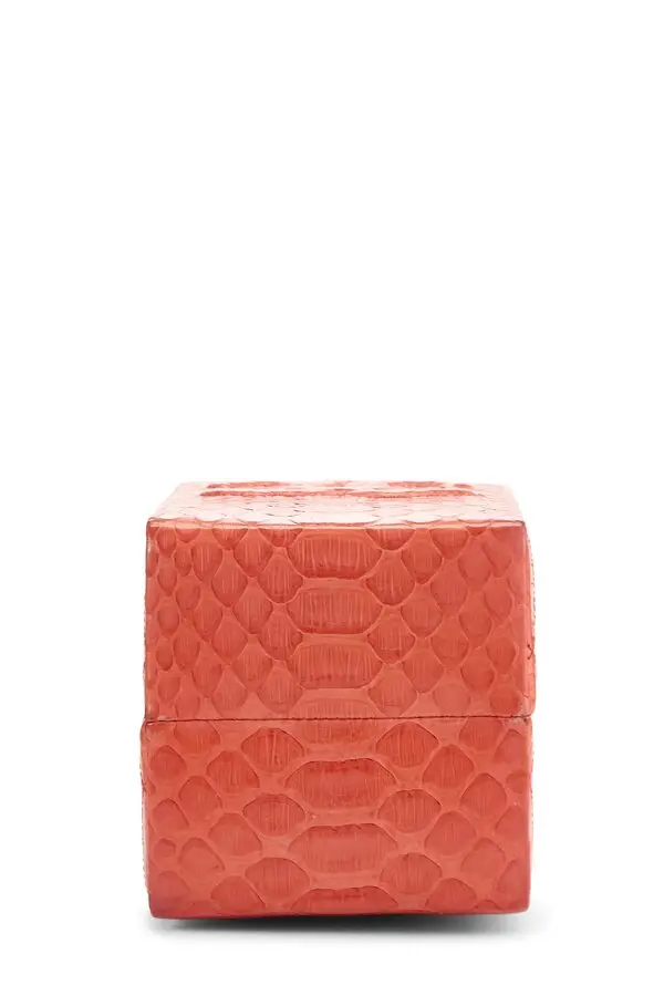 Chanel Python Milk Carton Bag - Orange