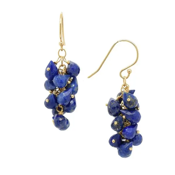 LORI KAPLAN DESIGN Cascading Lapis Lazuli And Gold Earrings - Blue/gold