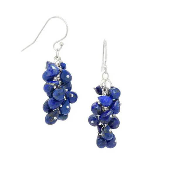 LORI KAPLAN DESIGN Lapis Lazuli Sterling Silver Drop Earrings - Blue/silver