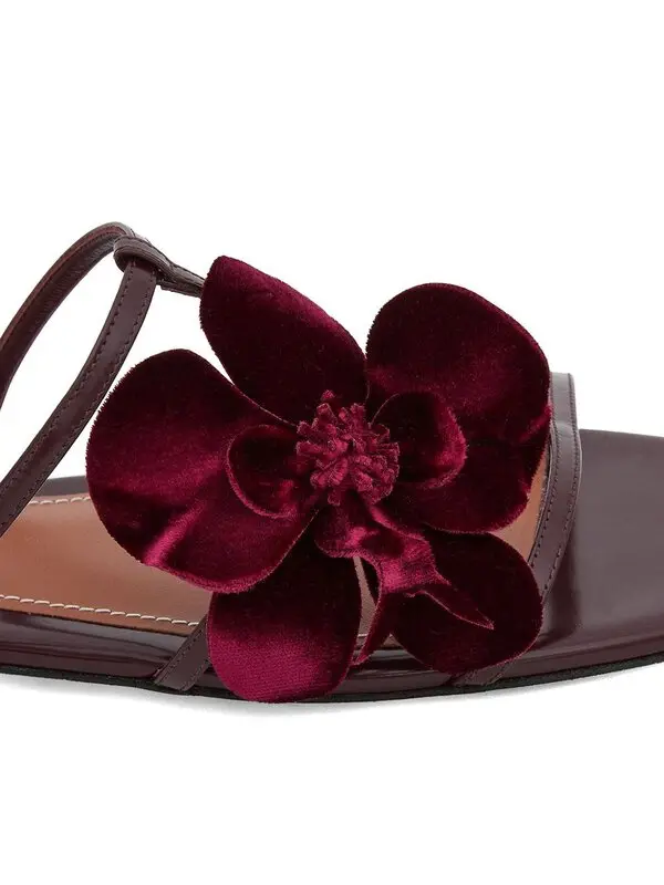 Zimmermann Orchid Leather Flat Sandals With Floral Appliqués