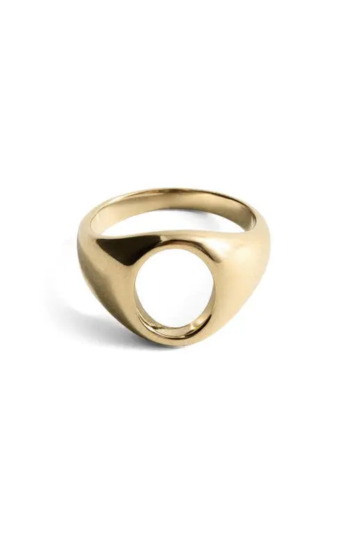 Mango Cutout Signet Ring - Gold