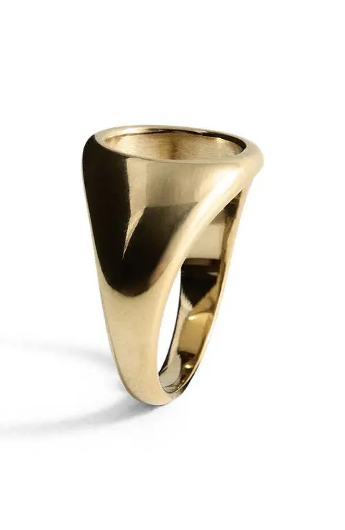 Mango Cutout Signet Ring