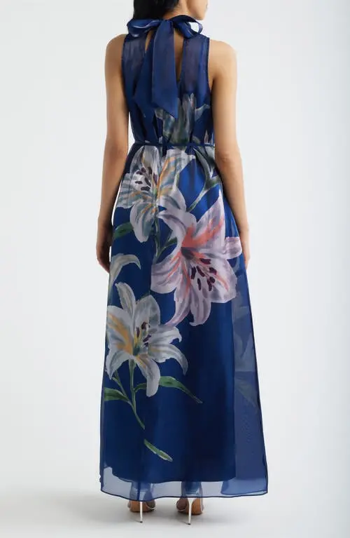 Julia Jordan Printed Organza Tie Neck Maxi Dress
