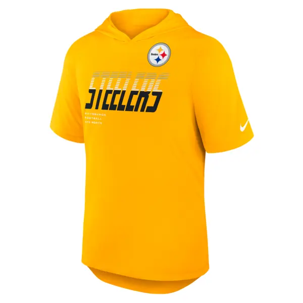 Nike Pittsburgh Steelers Dri-fit Nfl Hooded T-shirt - Brown