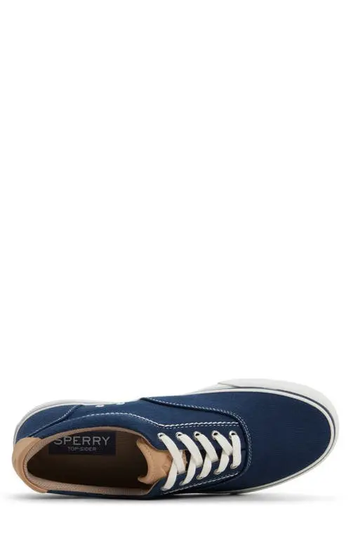 Sperry Cvo Helm Low Top Sneaker - Navy