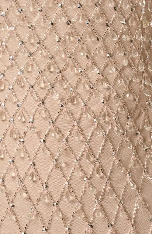 Adrianna Papell Beaded Mesh Evening Gown