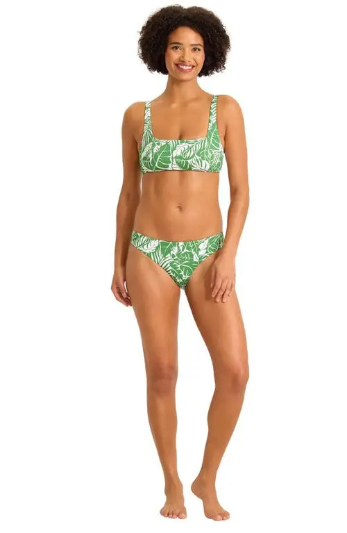 Tommy Bahama Printed Bikini Top
