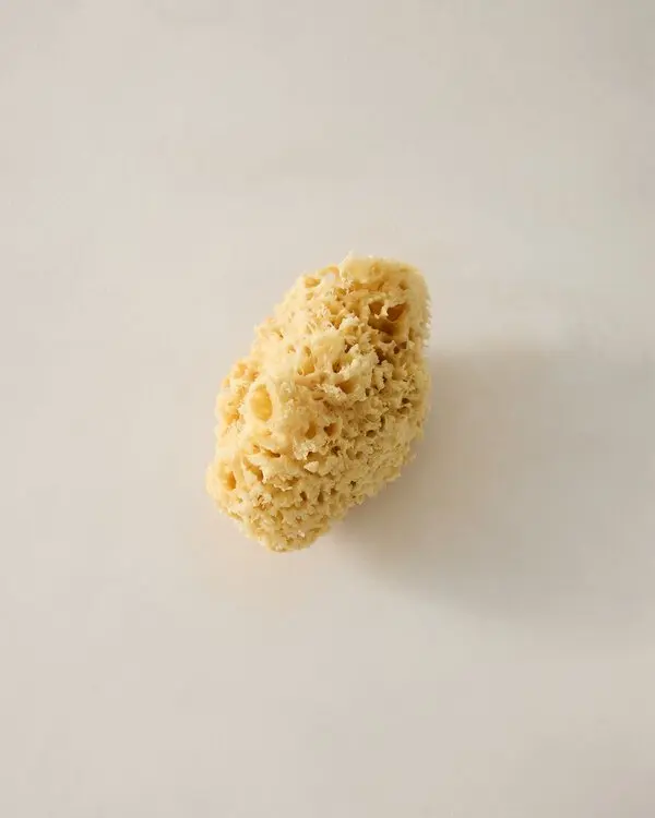 BAUDELAIRE Large Sea Bath Sponge - Multicolor