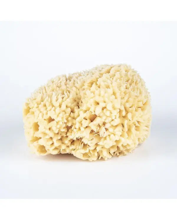 BAUDELAIRE Large Sea Bath Sponge