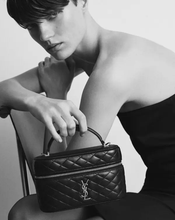 Saint Laurent Gaby Vanity In Lambskin - Fox