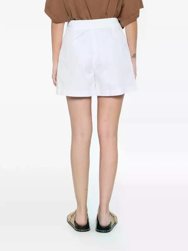 Fedeli Pleated Shorts