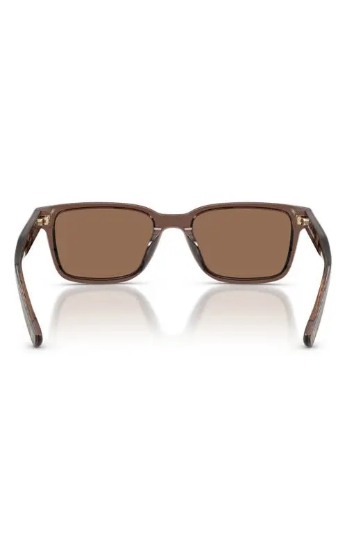 Brooks Brothers Rectangular Sunglasses - Brown/brown