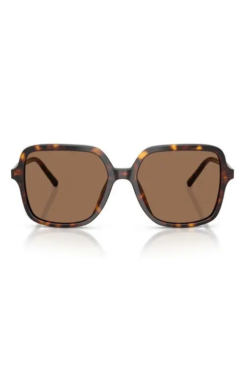 Dolce & Gabbana Square Frame Sunglasses - Havana/dark Brown
