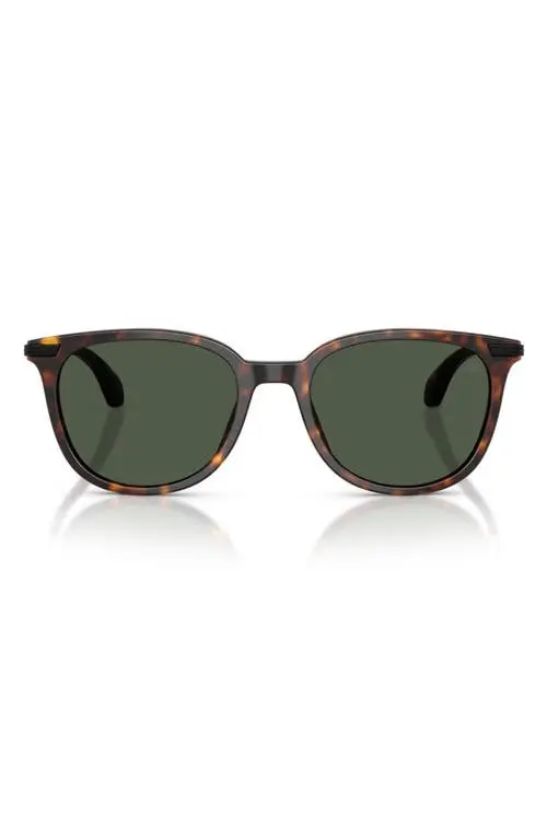 Moncler Kora 53mm Polarized Oval Sunglasses - Havana/polar Solid Green