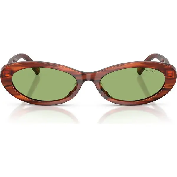 Tiffany & Co. Oval Sunglasses - Ruby Striped Havana/green