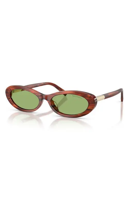 Tiffany & Co. Oval Sunglasses - Ruby Striped Havana/green