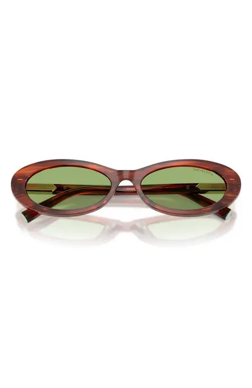 Tiffany & Co. Oval Sunglasses - Ruby Striped Havana/green
