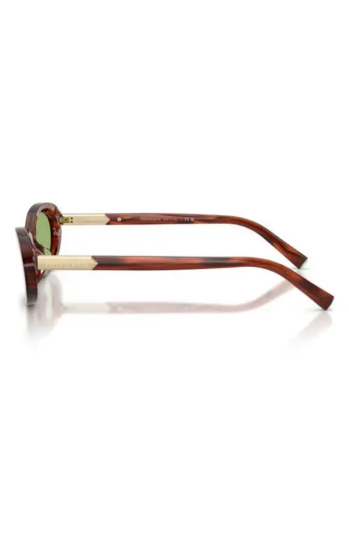 Tiffany & Co. Oval Sunglasses - Ruby Striped Havana/green