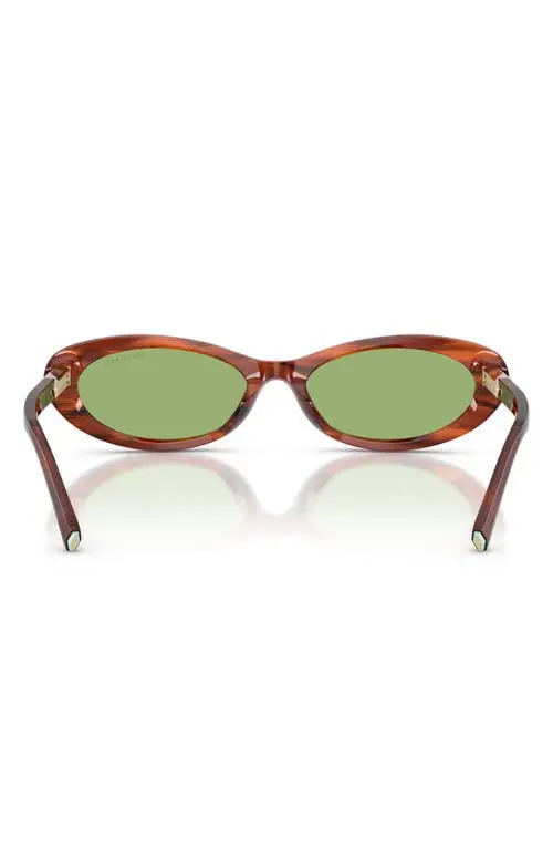 Tiffany & Co. Oval Sunglasses - Ruby Striped Havana/green