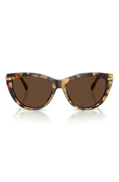 Tiffany & Co. Cat Eye Sunglasses - Blonde Havana/light Brown