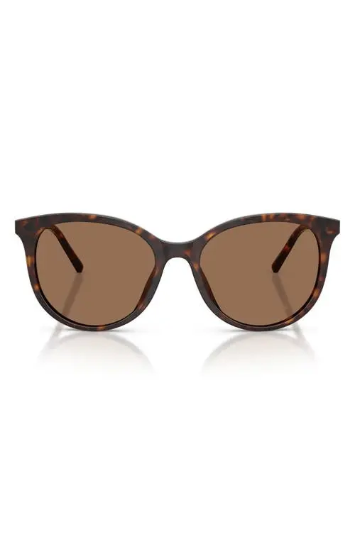 Dolce & Gabbana Phantos Silhouette Acetate Sunglasses - Havana/dark Brown