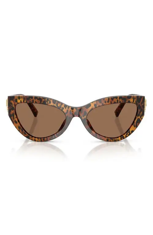 Dolce & Gabbana Cat Eye Sunglasses With Cuore Devotion Emblem - Leo Transparent/dark Brown