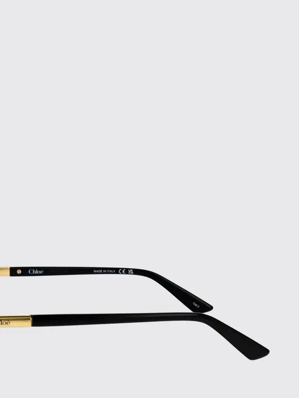 Chloé Ch0363s Sunglasses In Acetate - Black