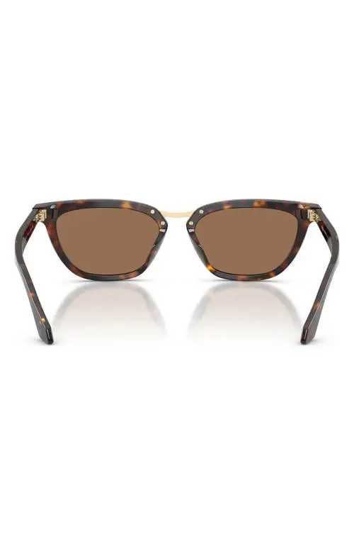 ARMANI Giorgio Butterfly Sunglasses - Havana/dark Brown