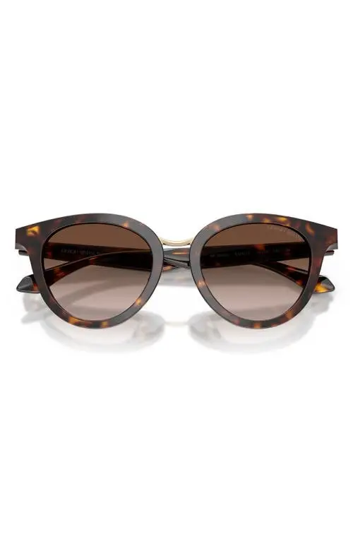 ARMANI Giorgio 49mm Round Frame Sunglasses - Havana/brown Gradient