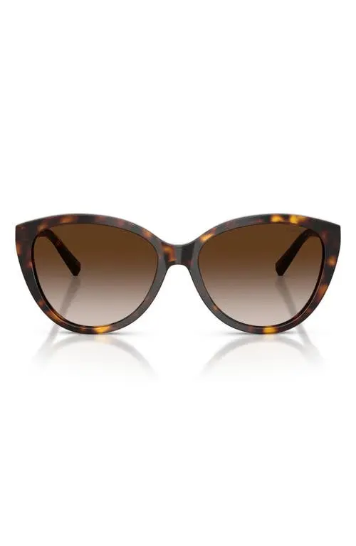 Tiffany & Co. Cat Eye Sunglasses - Havana/brown Gradient