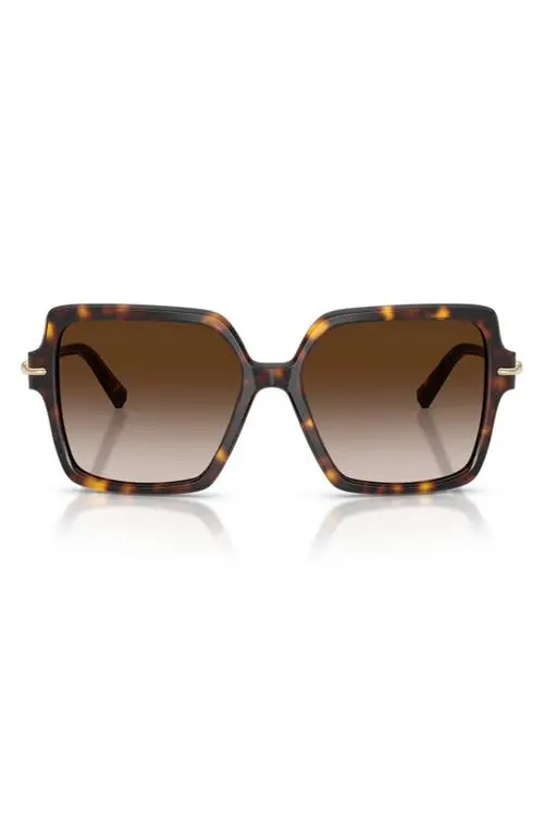 Tiffany & Co. Square Frame Sunglasses - Havana/brown Gradient