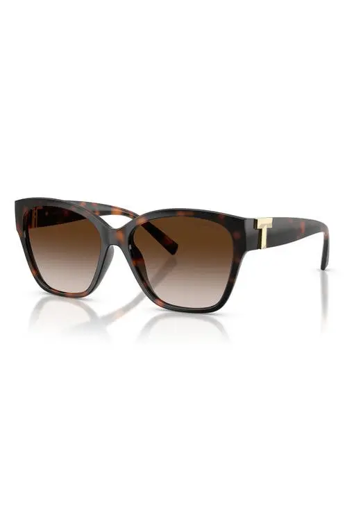 Tiffany & Co. Square Frame Sunglasses - Havana/brown Gradient