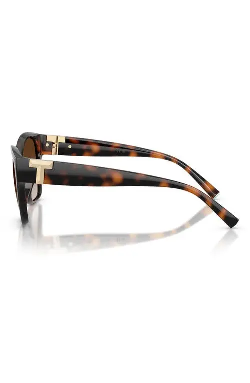 Tiffany & Co. Square Frame Sunglasses - Havana/brown Gradient