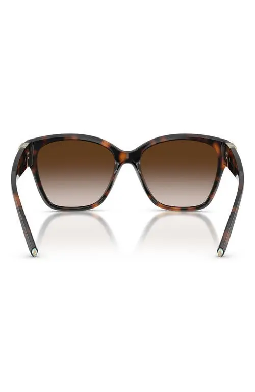 Tiffany & Co. Square Frame Sunglasses - Havana/brown Gradient