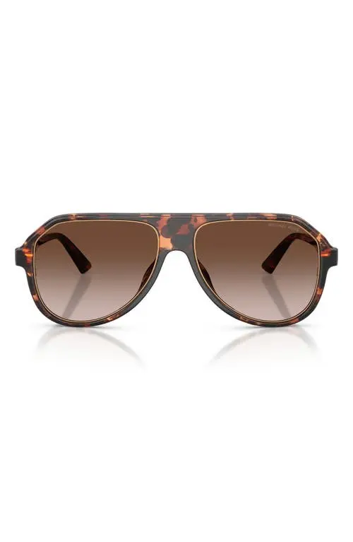 Michael Kors Molokai 59mm Gradient Pilot Sunglasses - Dark Tortoise/smoke Gradient